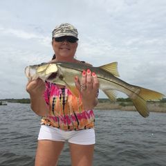 Val Klesius - Real Estate Agent in Hernando Beach, FL - Reviews | Zillow