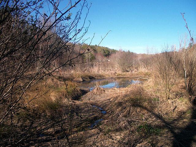 Towee Falls Rd, Tellico Plains, TN 37385 | Zillow