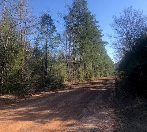 883 County Road 759, Douglass, TX 75943 | Zillow