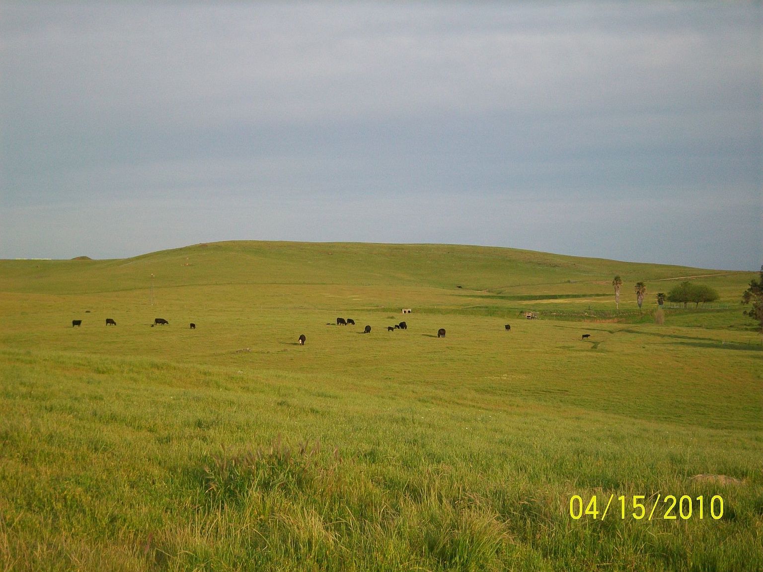 6100 Hammonton Smartville Rd, Marysville, CA 95901 | Zillow