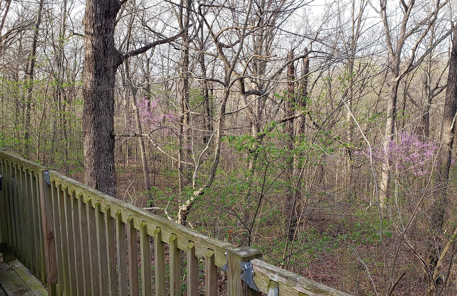 5262 Cowan Ridge Rd, Powell, MO 65730 | Zillow