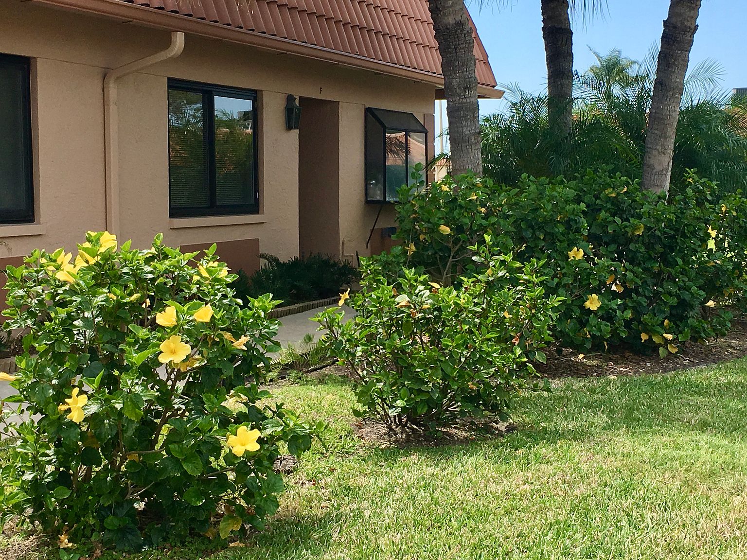 19029 Us Highway 19 N APT 34F, Clearwater, FL 33764 | Zillow