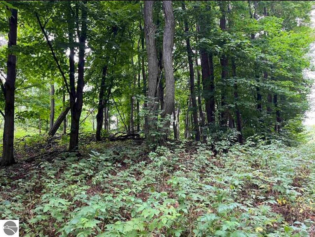 3-03 Butwell Rd, Bear Lake, MI 49614 | MLS #1915598 | Zillow