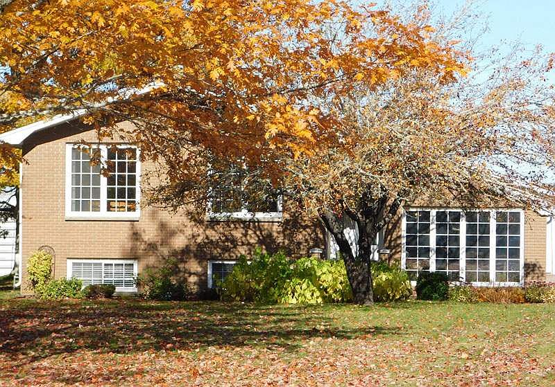 5347 Highway 311, Earltown, NS B0K 1V0 | Zillow