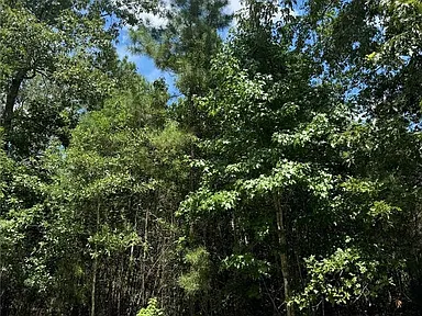 1956 Lisa Dr Vinton LA | Zillow