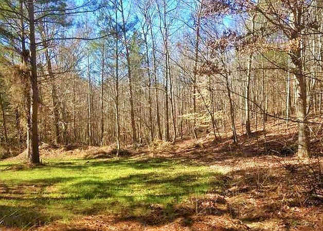 0 Hwy 75 #1, Allgood, AL 35121 | Zillow