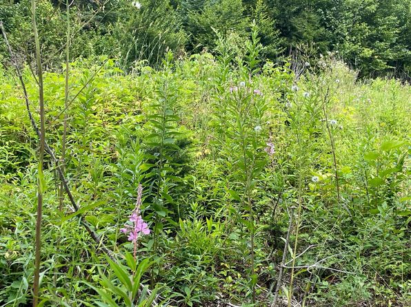 Linneus ME Real Estate - Linneus ME Homes For Sale | Zillow