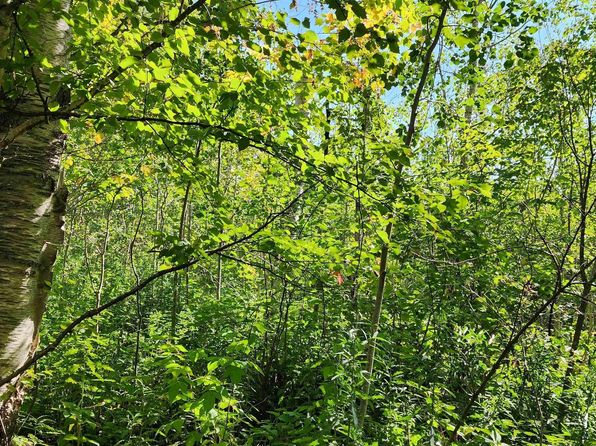 Tofte MN Real Estate - Tofte MN Homes For Sale | Zillow