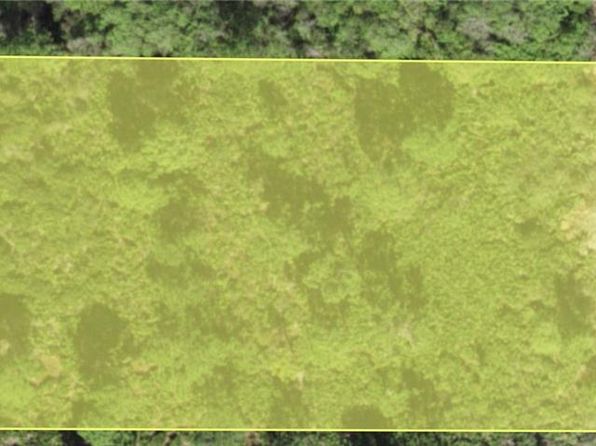 Charlotte Ranchettes - Punta Gorda FL Real Estate - 31 Homes For Sale ...