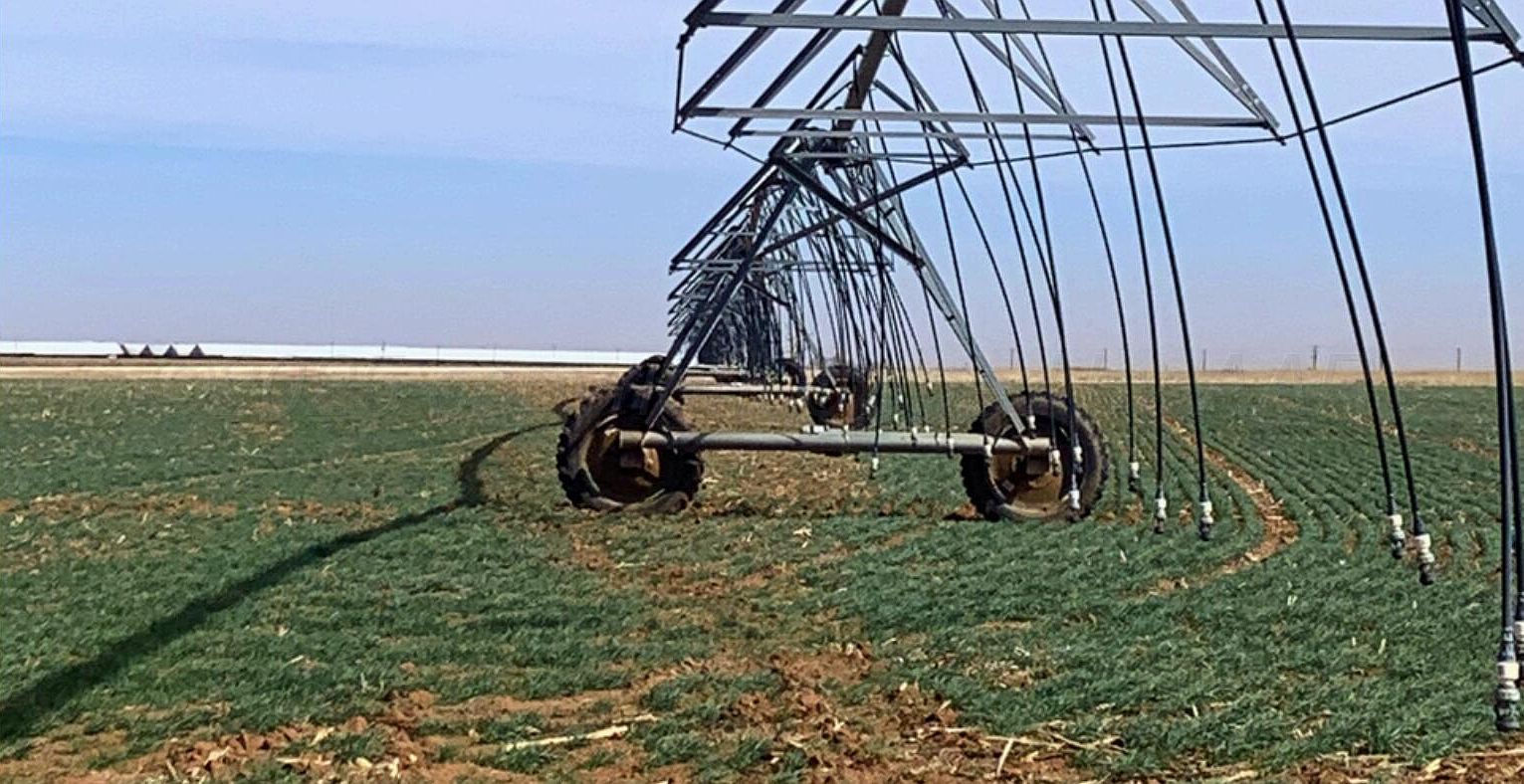 Hartley, Hartley, TX 79044 | MLS #25-2434 | Zillow