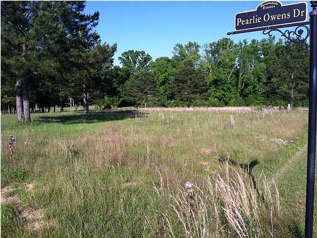 84 Pearlie Owens Dr, Byram, MS 39272 | Zillow