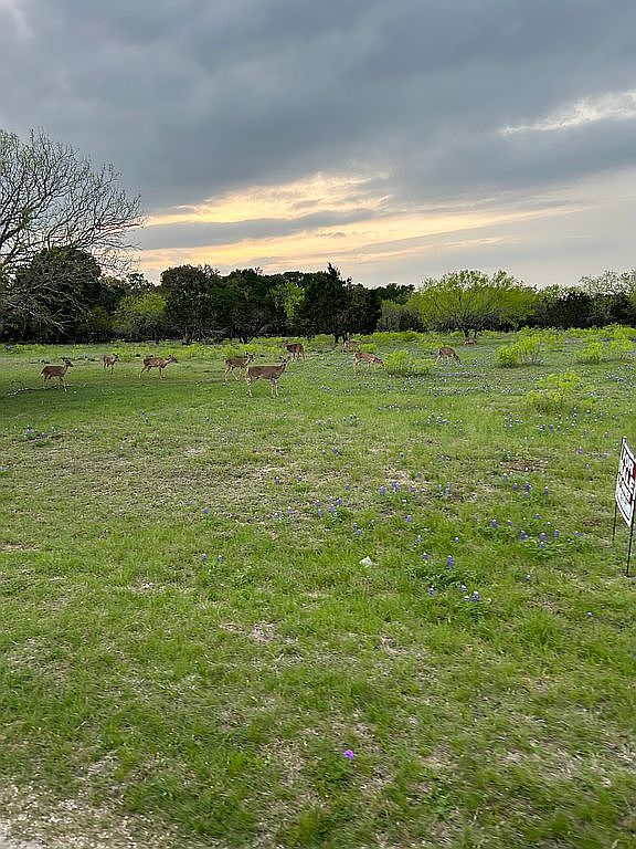 1309 Whispering Water, Spring Branch, TX 78070 | Zillow