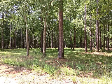 231 Compass Pt Ninety Six, SC, 29666 - Apartments for Rent | Zillow