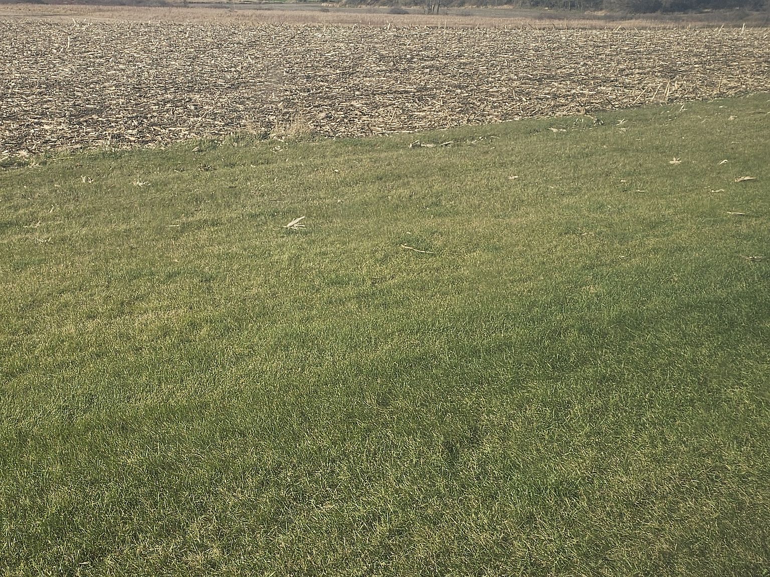 106 W Rose Eld Rd APT C, Rosendale, WI 54974 | Zillow