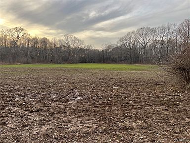 0 County Road 35, Ethelsville, AL 35461 | Zillow