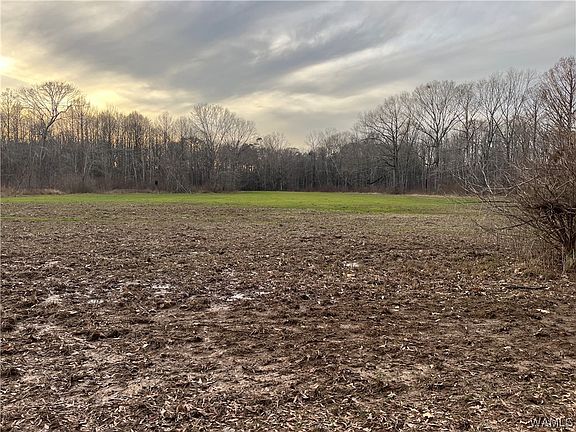 0 County Road 35, Ethelsville, AL 35461 | MLS #161013 | Zillow