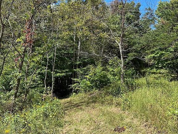 11563 Woolwine Hwy, Woolwine, VA 24185 | Zillow