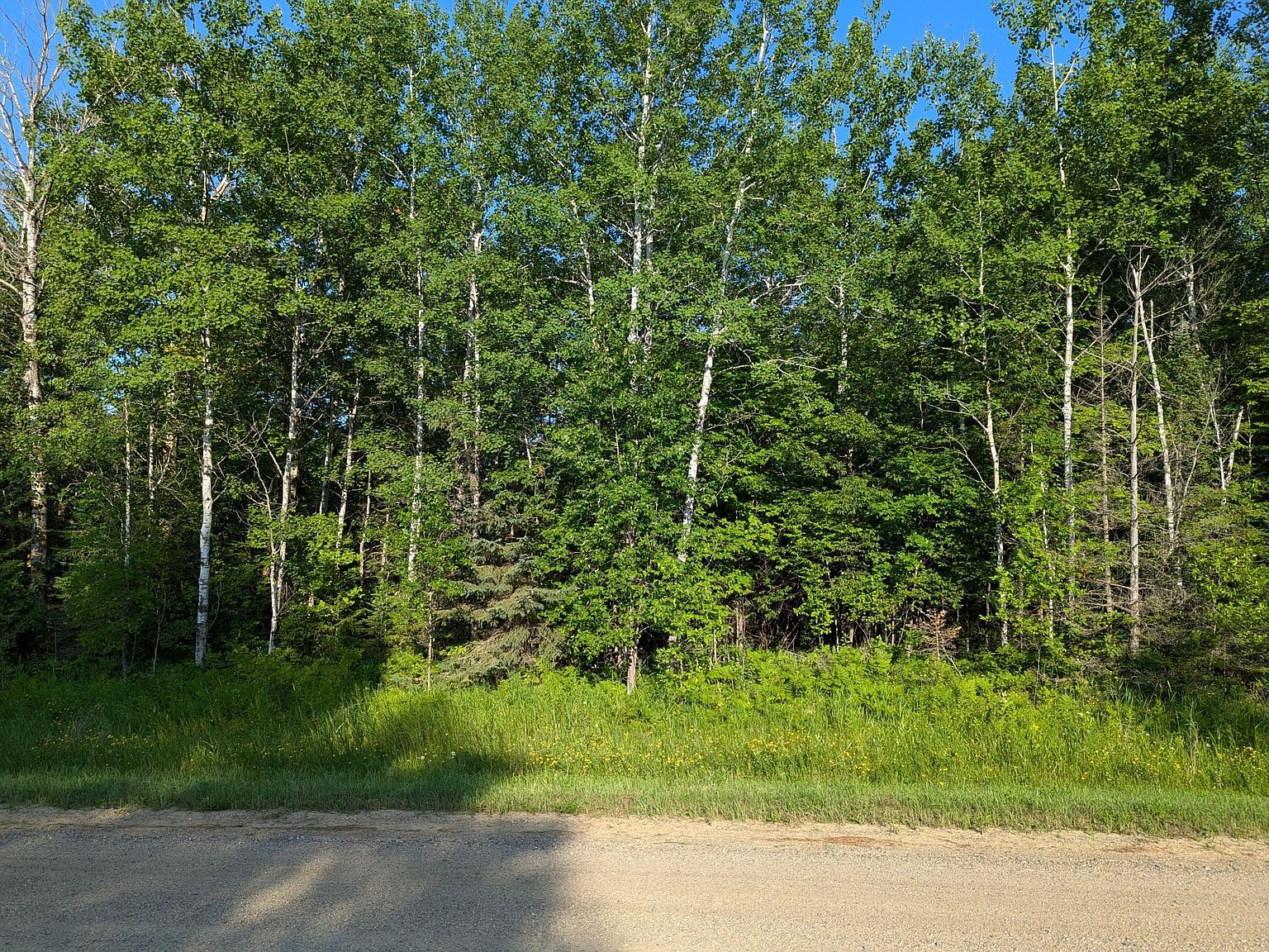 Tenstrike, Hines, MN 56647 | Zillow