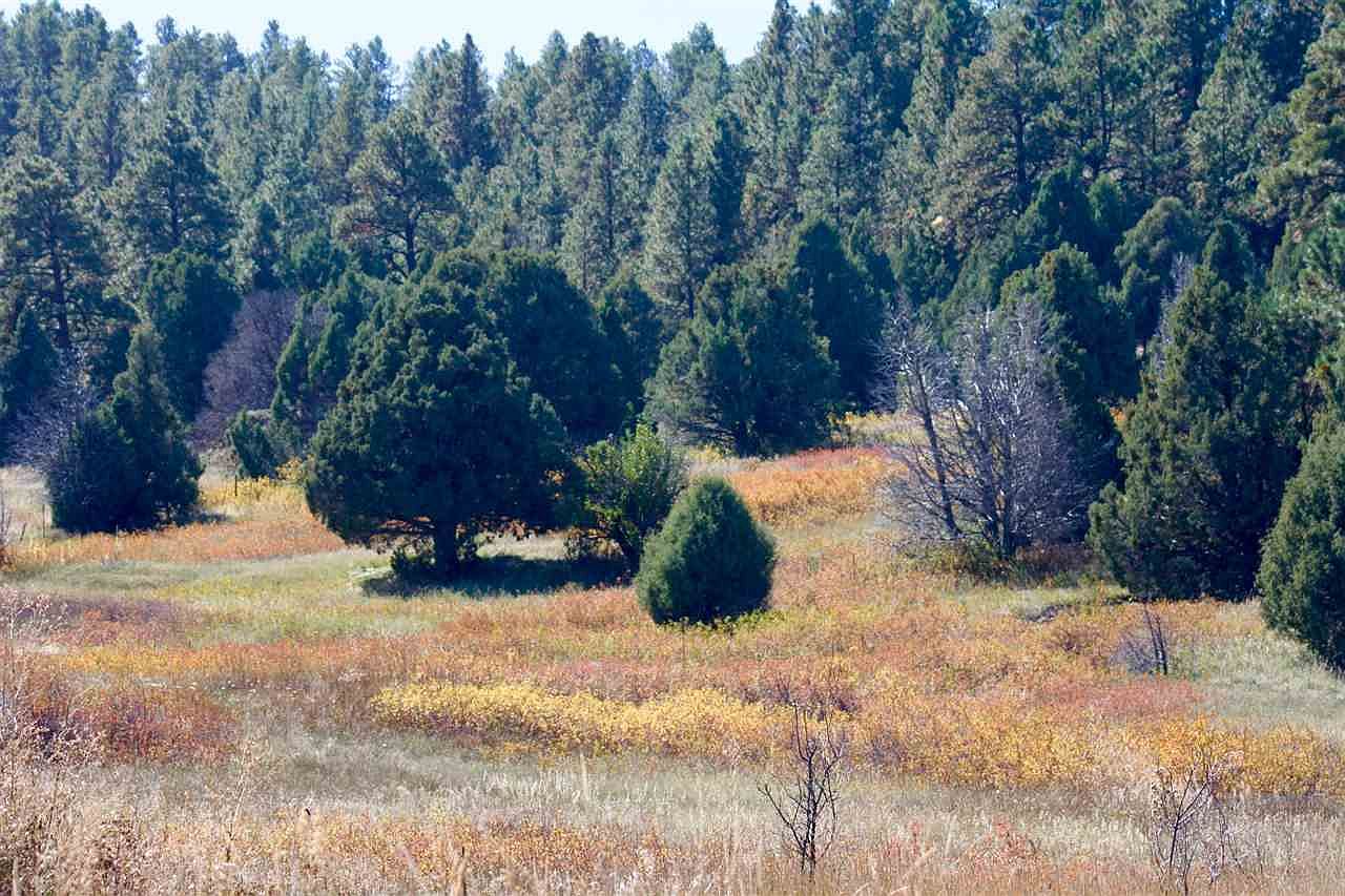 23 Las Trampas, Llano, NM 87543 | Zillow