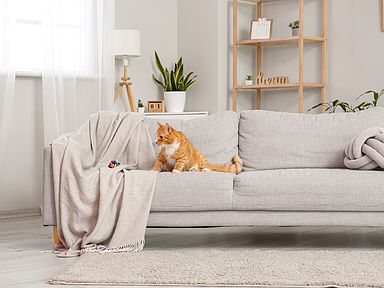 1100 Solitude Trl #1901, Reno, NV 89503 | Zillow