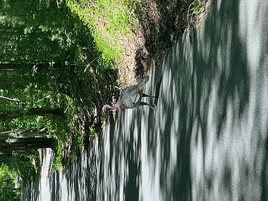 0 Ellison Ridge Rd, Jumping Branch, WV 25969 | Zillow