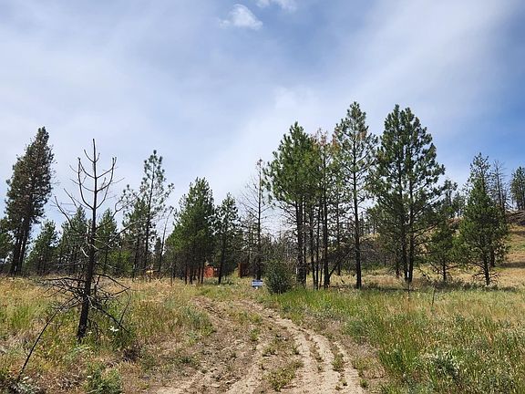 31XYZ Hawk Creek Ranch Rd N, Davenport, WA 99122 | MLS #202319565 | Zillow