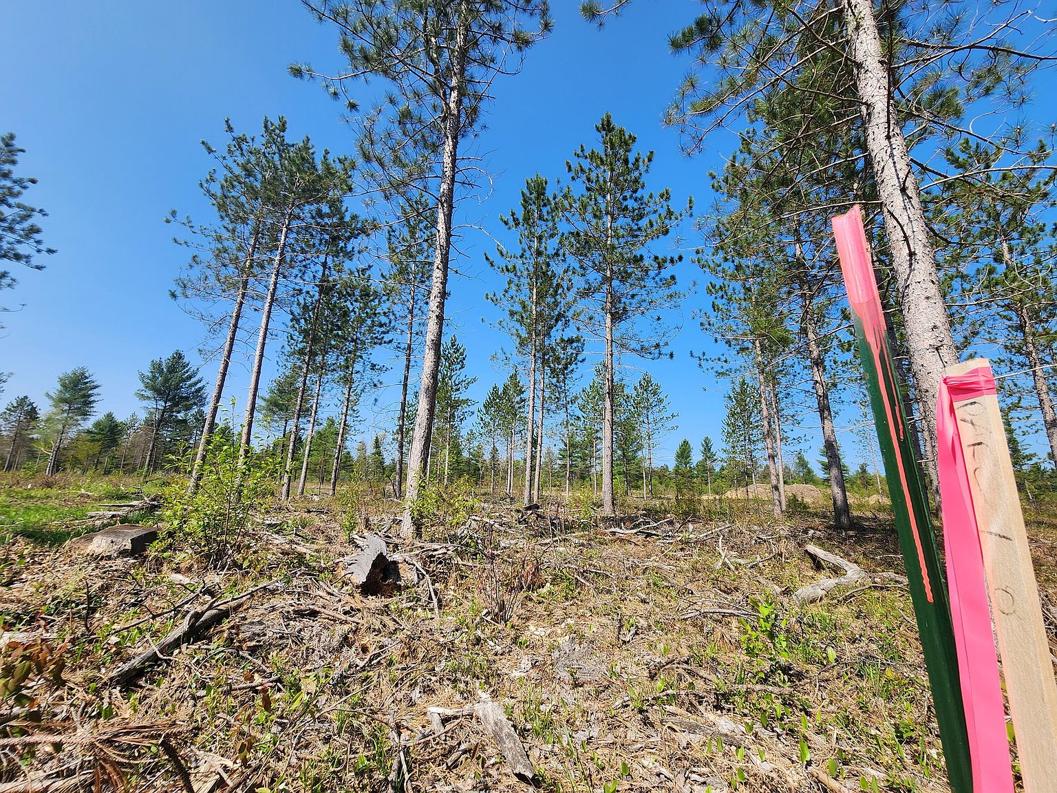 PARCEL Eight Ryno A K A #M-72, Mio, MI 48647 | Zillow