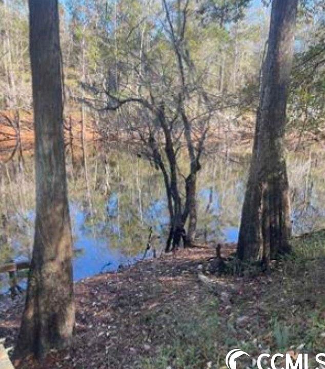 TBD Lot # 3 Sto Old Camp Rd., Salters, SC 29590 | MLS #2402056 | Zillow