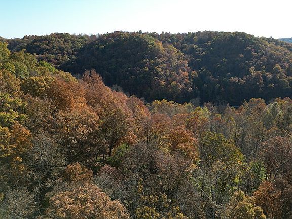 0 Sassafras Ridge Rd, Grantsville, WV 26147 | MLS #104609 | Zillow