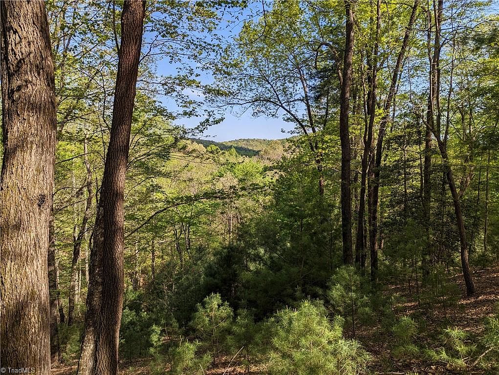 Sutters Ridge Rd #94, Mc Grady, NC 28649 | MLS #1214382 | Zillow