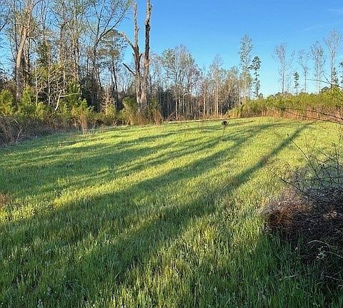 0 County Road 45, Banks, AL 36005 | MLS #25665 | Zillow
