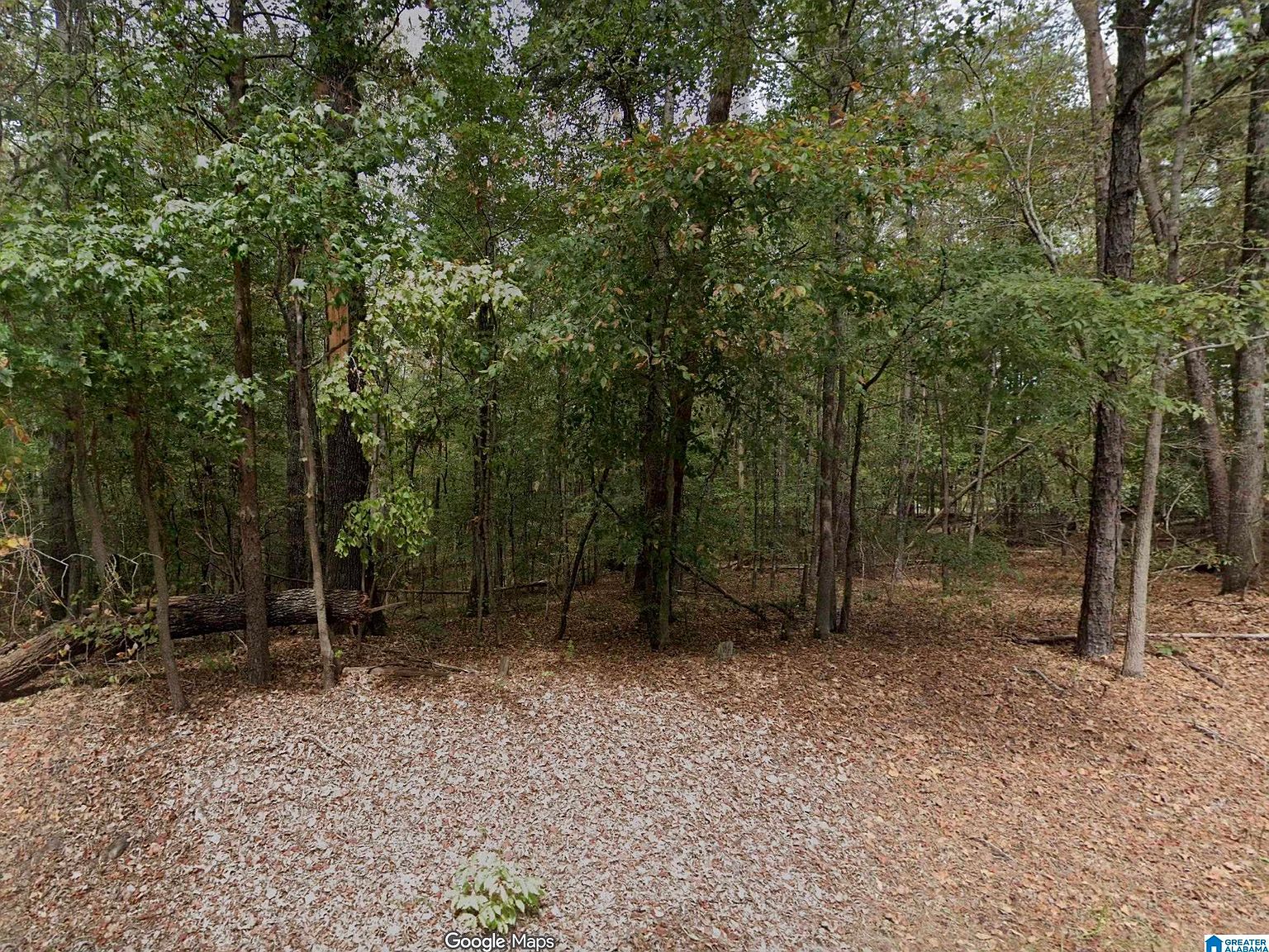 15001 Lock 17 Rd #6.435, Adger, AL 35006 | MLS #21440685 | Zillow
