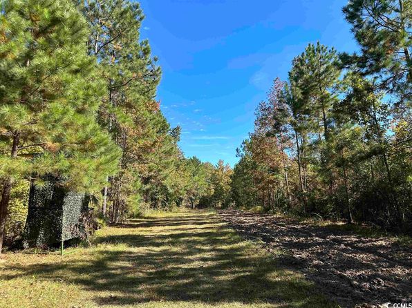 Lane SC Real Estate - Lane SC Homes For Sale | Zillow