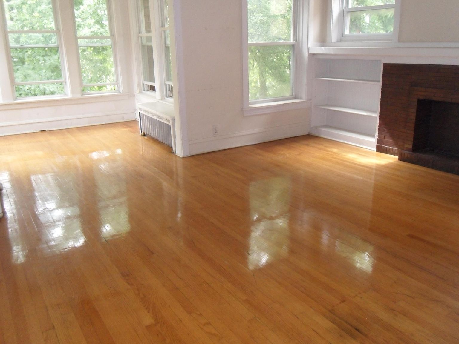 6533 N Newgard Ave, Chicago, IL 60626 | Zillow