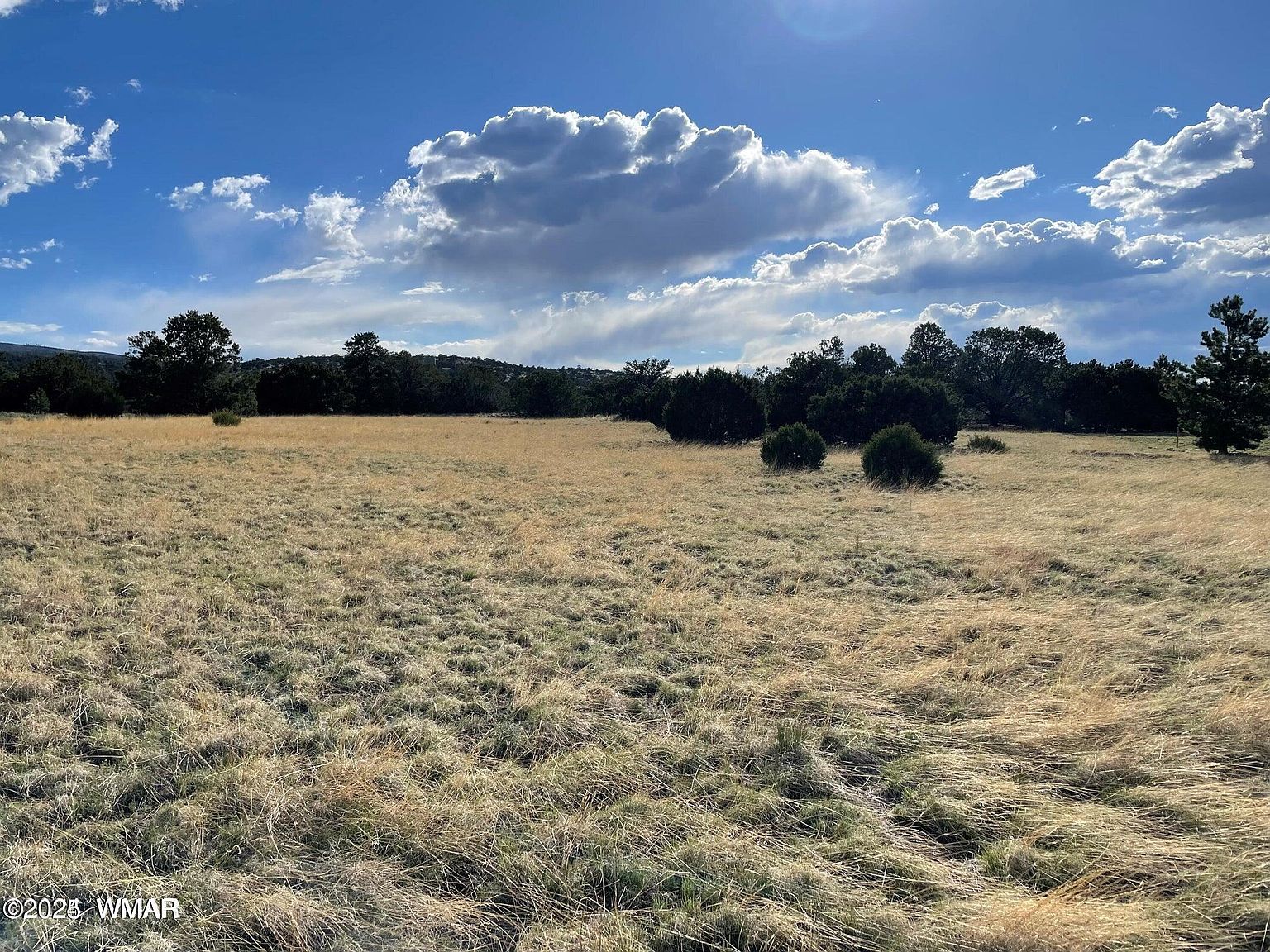 Sky Crest Dr, Eagar, AZ 85925 | MLS #255492 | Zillow