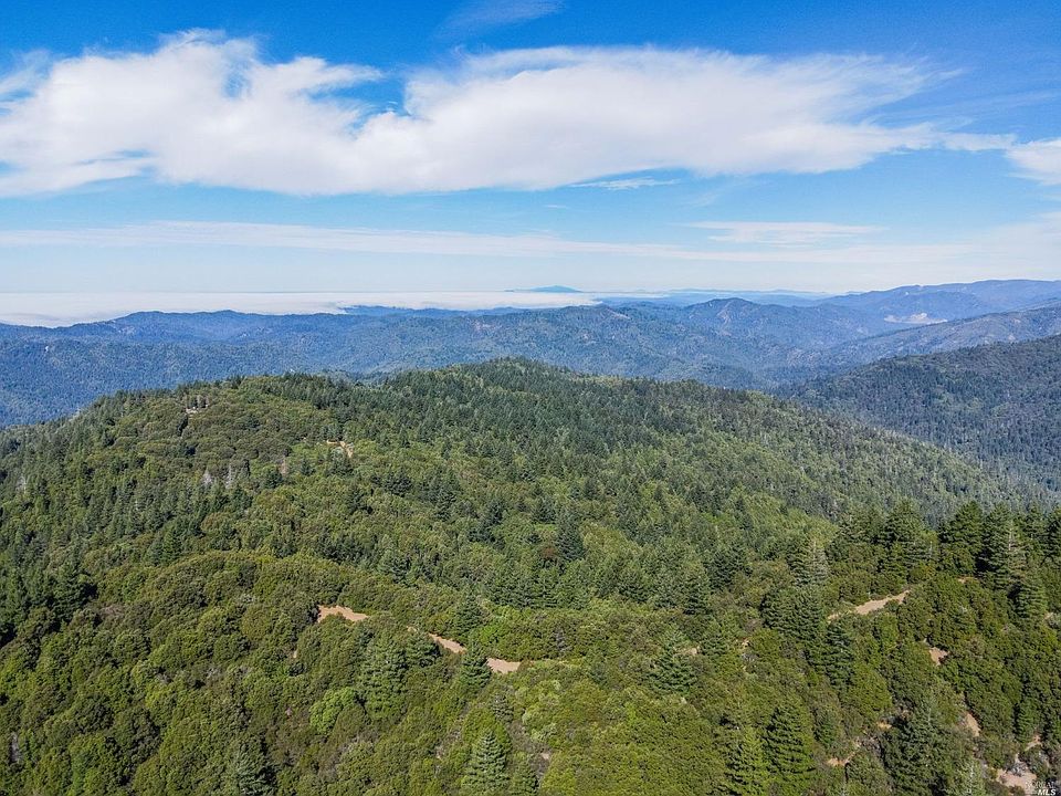 16780 Branscomb Rd, Branscomb, CA 95417 | MLS #322093060 | Zillow