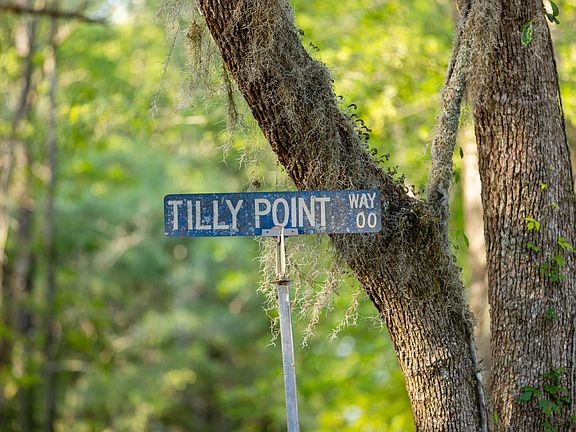LOT 10 Tilly Point Way, Green Pond, SC 29446 | MLS #23009852 | Zillow