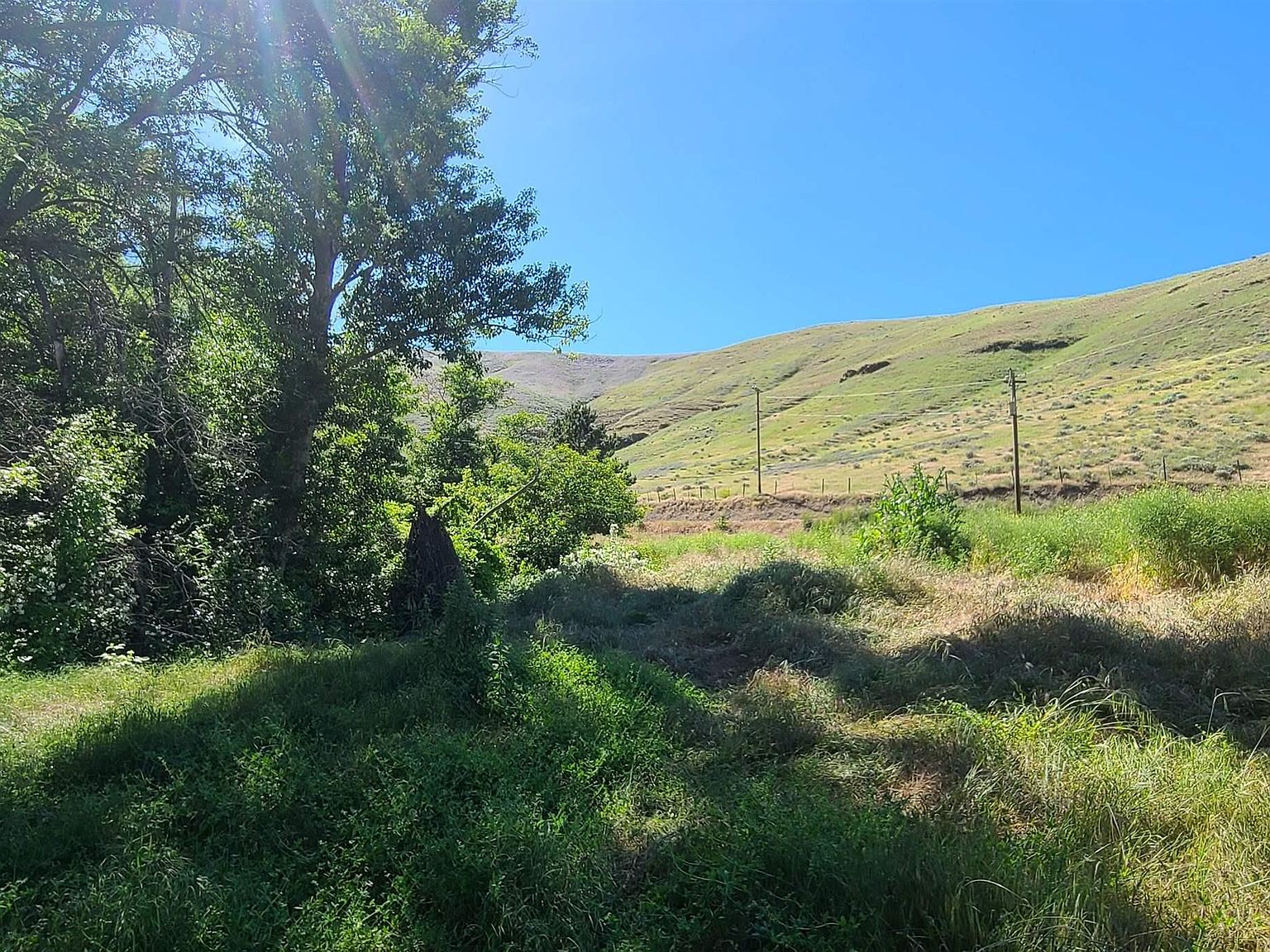 143 Alpowa Creek Rd, Clarkston, WA 99403 | Zillow