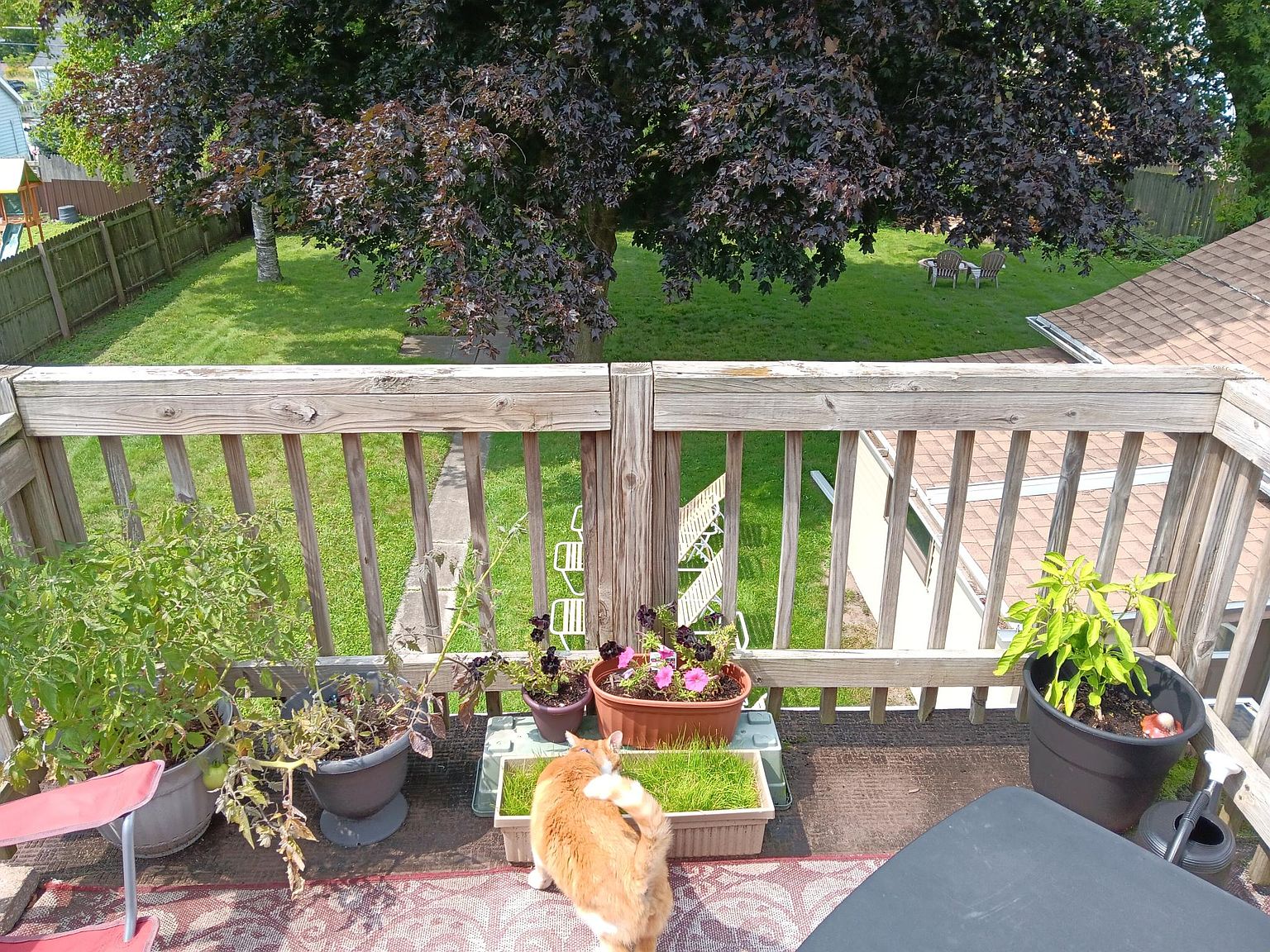 2110A Folger St #2110A, Sheboygan, WI 53081 | Zillow