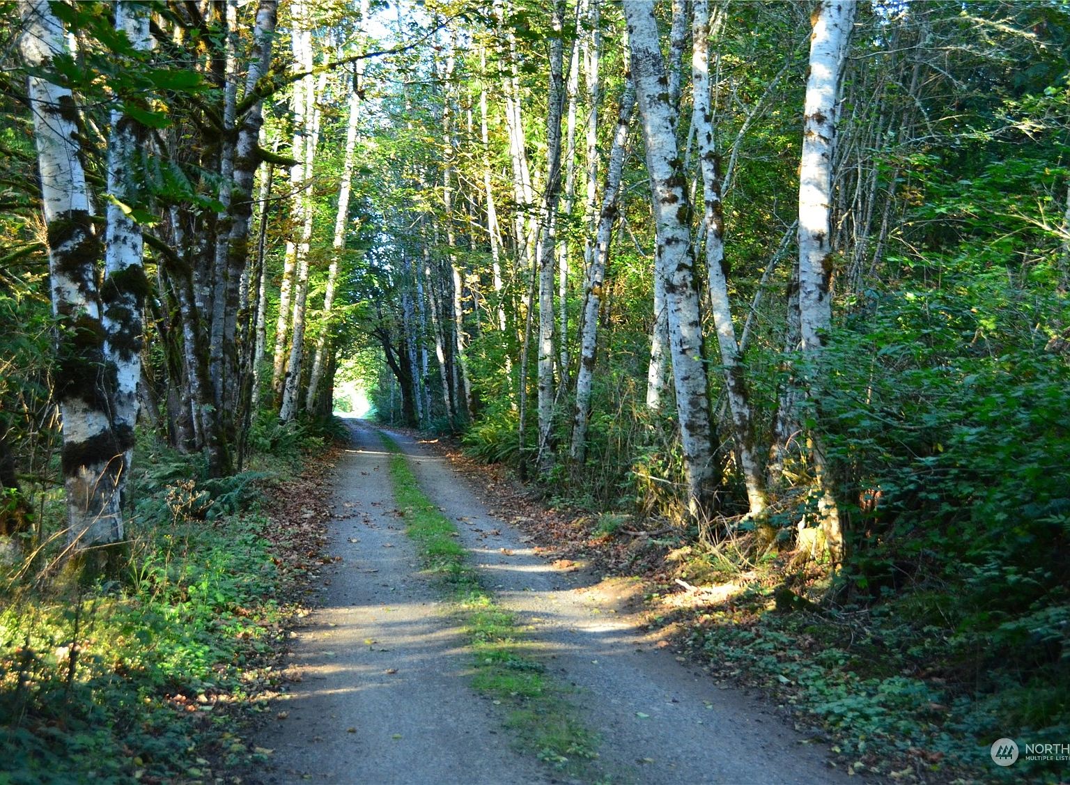 7 NKA Crocker Lake Road, Quilcene, WA 98376 | Zillow