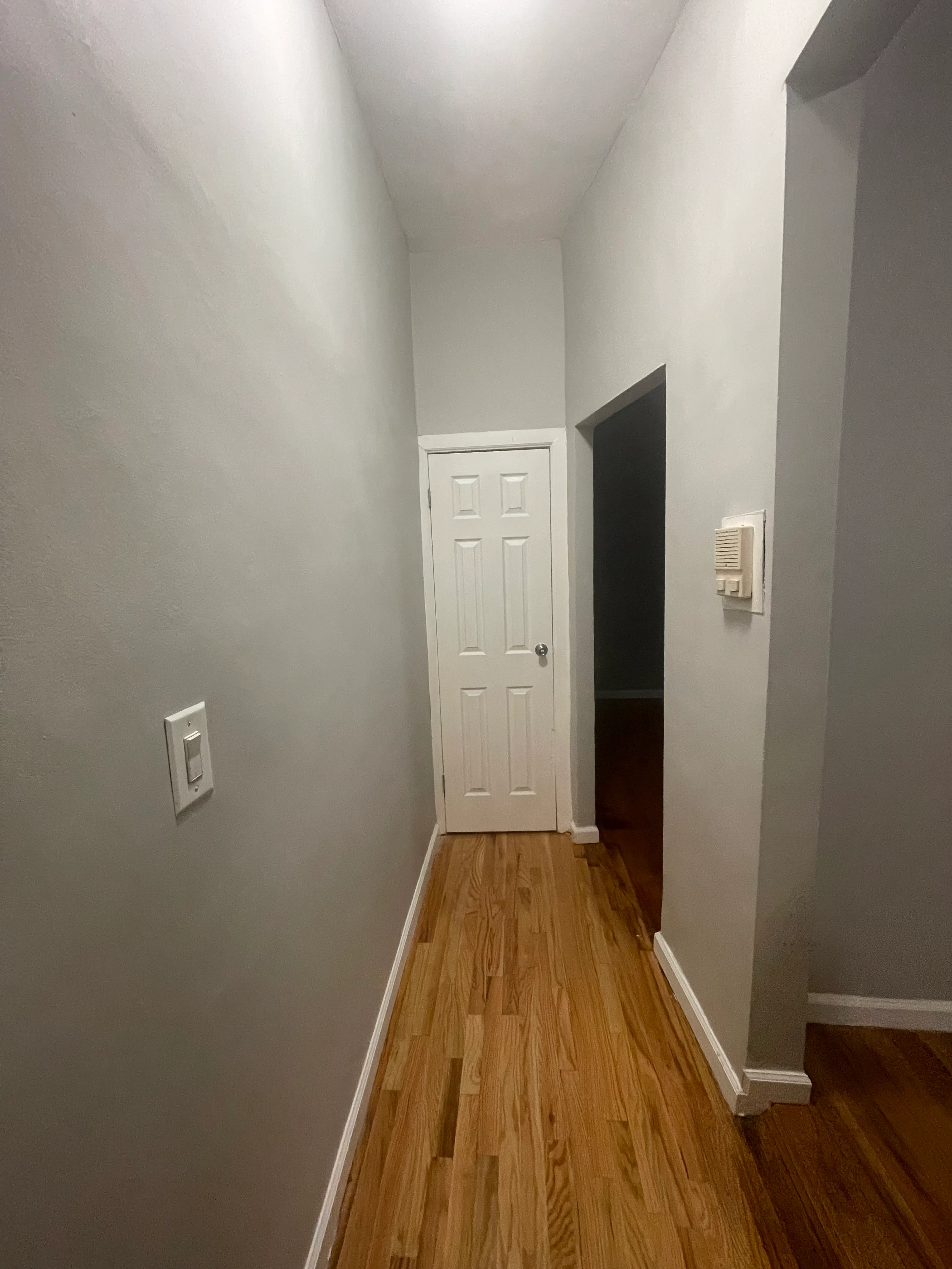1335 50th Street #2A in Borough Park, Brooklyn | StreetEasy