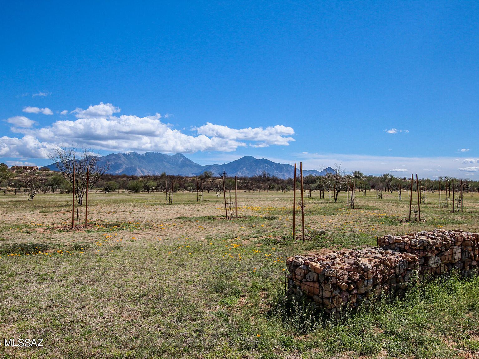 124 E Placita Colonia Real #46, Green Valley, AZ 85614 | MLS #22306107 ...