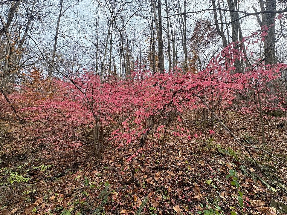 99 Richmond Hwy Amherst VA | Zillow