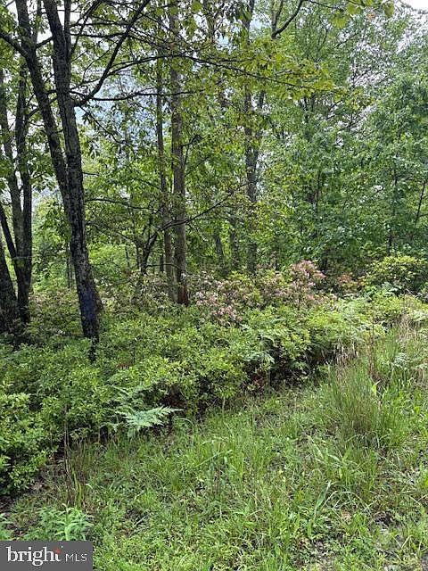 0 East Rd, Clarence, PA 16829 | MLS #PACE2515092 | Zillow