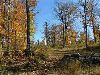 Tbd Pit Rd, Watton, MI 49970 | Zillow