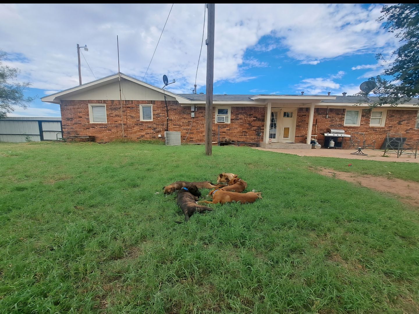 2482 Farm To Market Rd #3216, Amherst, TX 79312 | Zillow