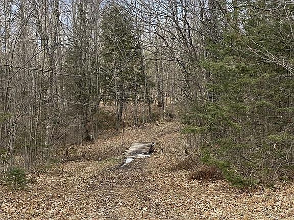 160 Acres MOL COUNTY ROAD YY, Ogema, WI 54459 | MLS #22401214 | Zillow