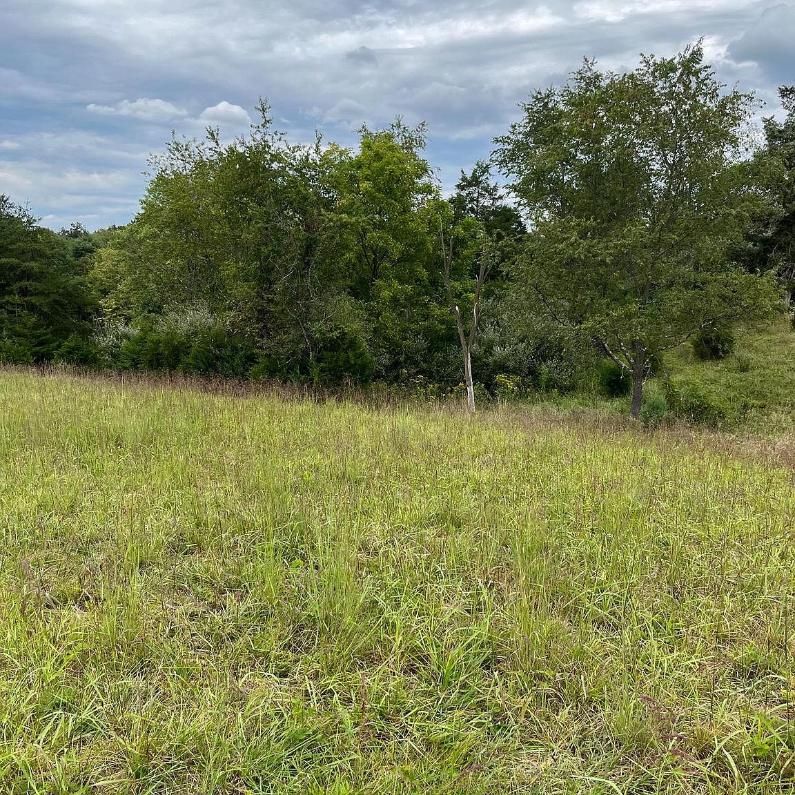LOT 3A Bower Rd, Kearneysville, WV 25430 | Zillow