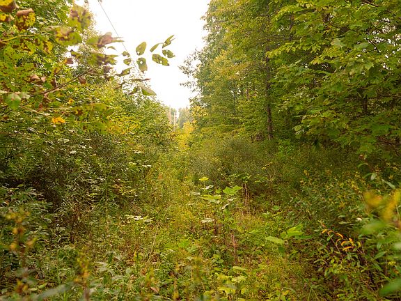 0 Oppy Hill Rd, Otway, OH 45657 | Zillow