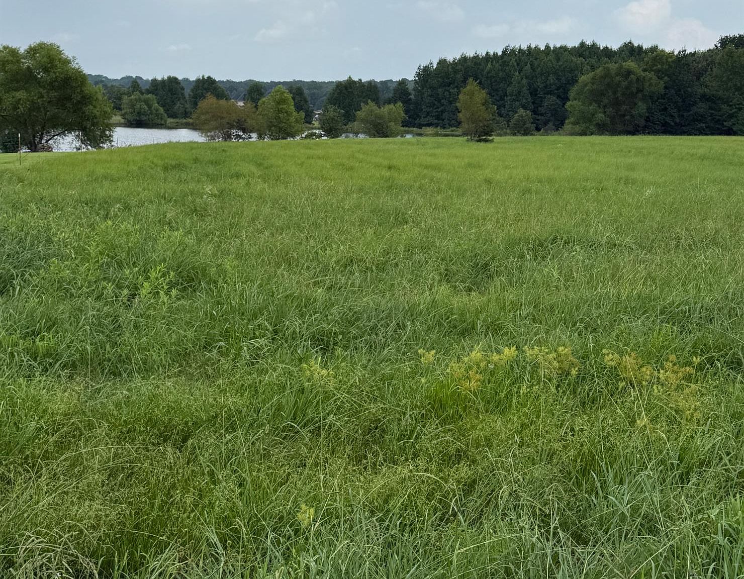 199 County Road 7940, Jonesboro, AR 72405 | MLS #10124164 | Zillow